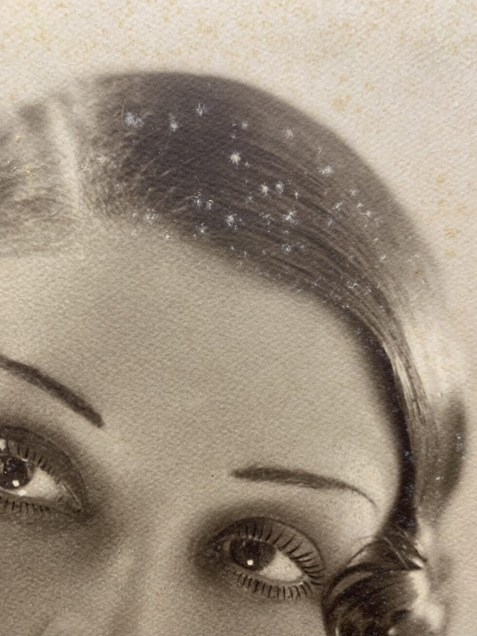 Part II of "A Conserv Guide to Mold in Collections" - Conserv